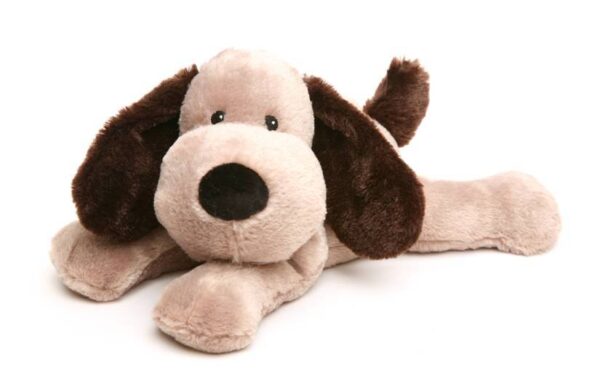 Contact – SenseAbilities