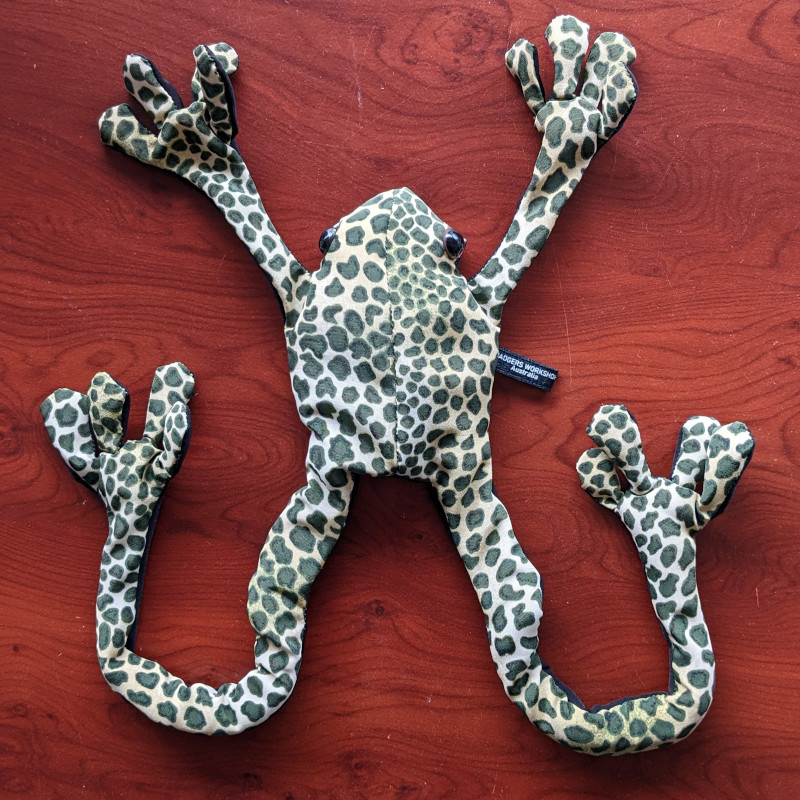 Weighted Sand Turtles – SenseAbilities